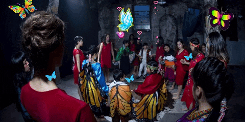 Rooftop Dance Performance In Celebration Of National Pollinator Week ...